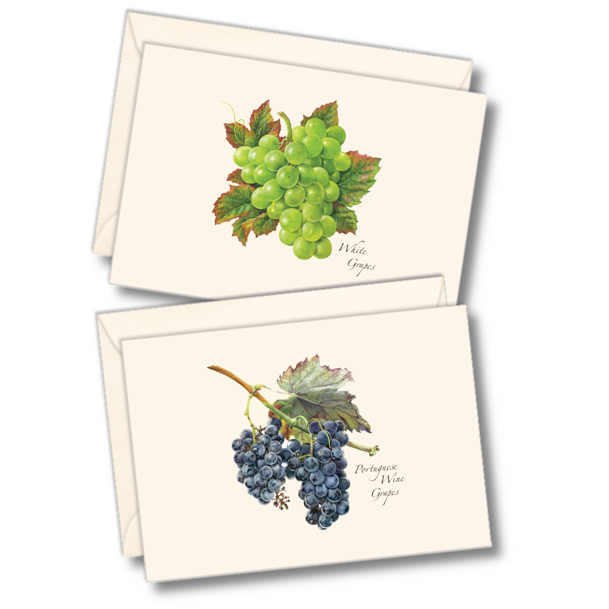 Earth Sky + Water - Grape Assortment | Black Swan Provisions